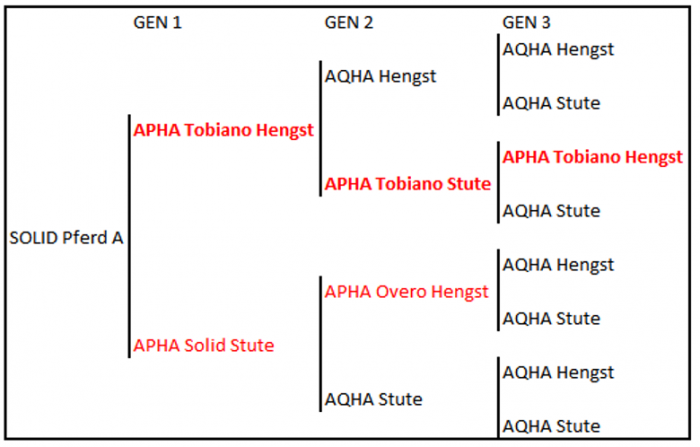 Dank einer APHA Regeländerung gibt es nun einen dritten Weg in das ...
